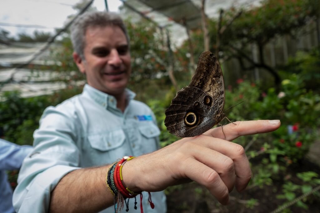 Colombia es el país con más especies de mariposas en el mundo - En ...