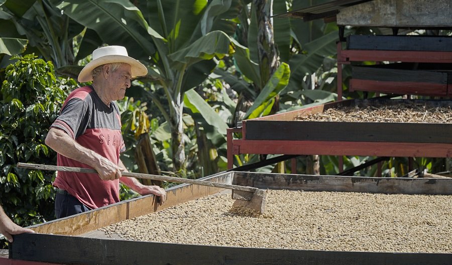 Comienza la carrera por la gerencia general de la FNC - En nuestro campo